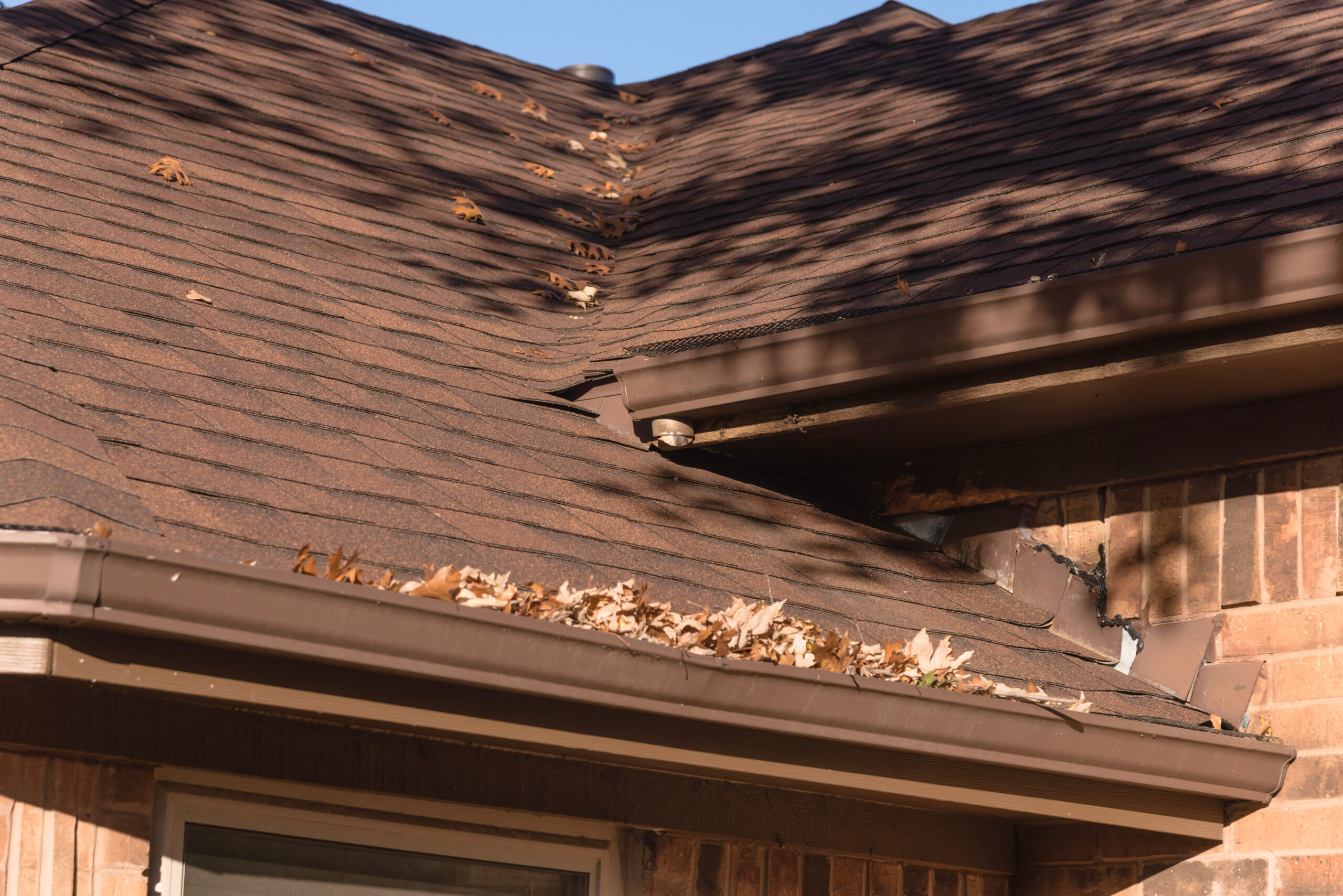 Anything and Everything NOLA Roofing - GUTTERS
